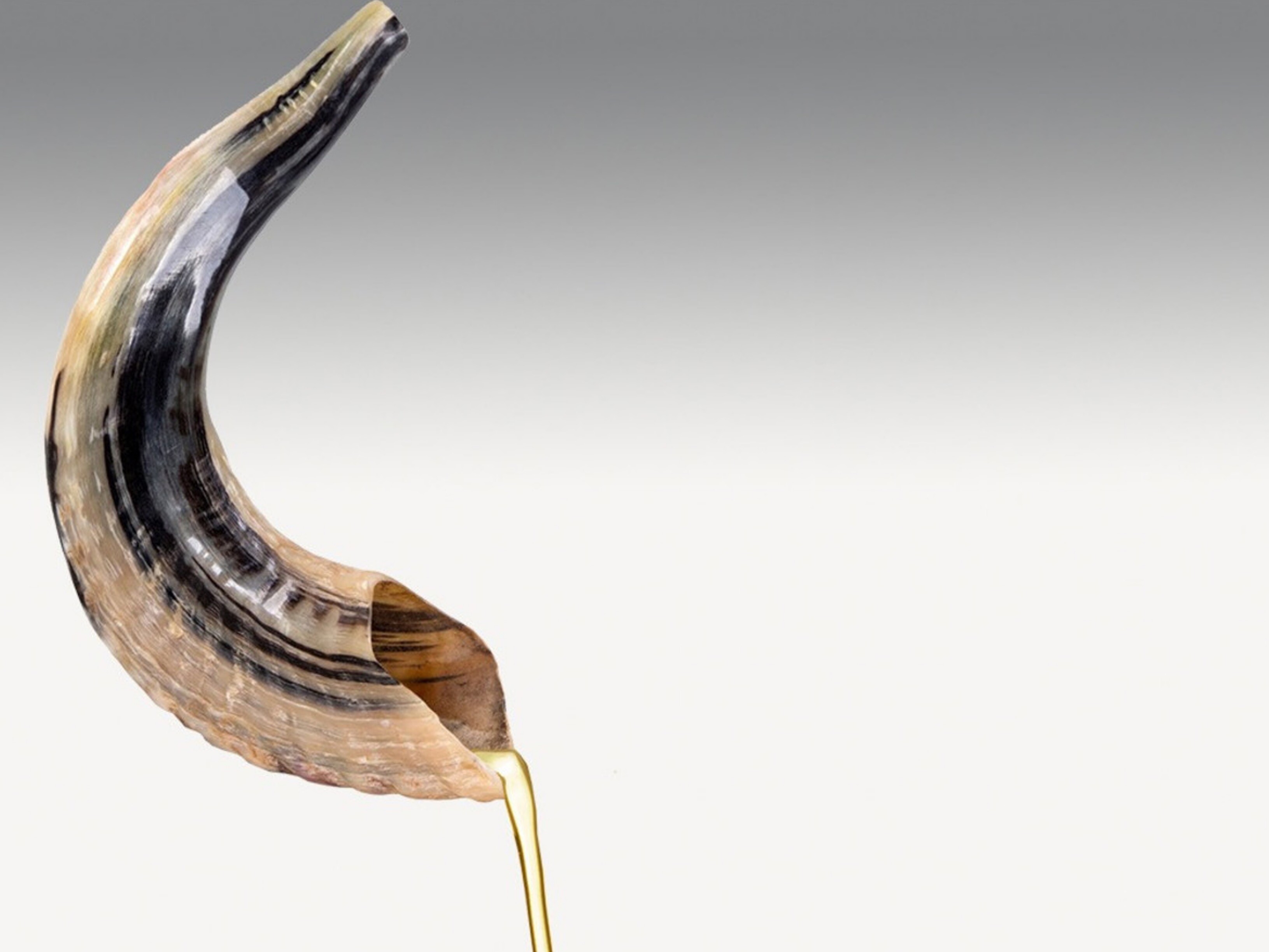 Pemimpin yang dipimpin Sang Raja - GKI Duta Mas