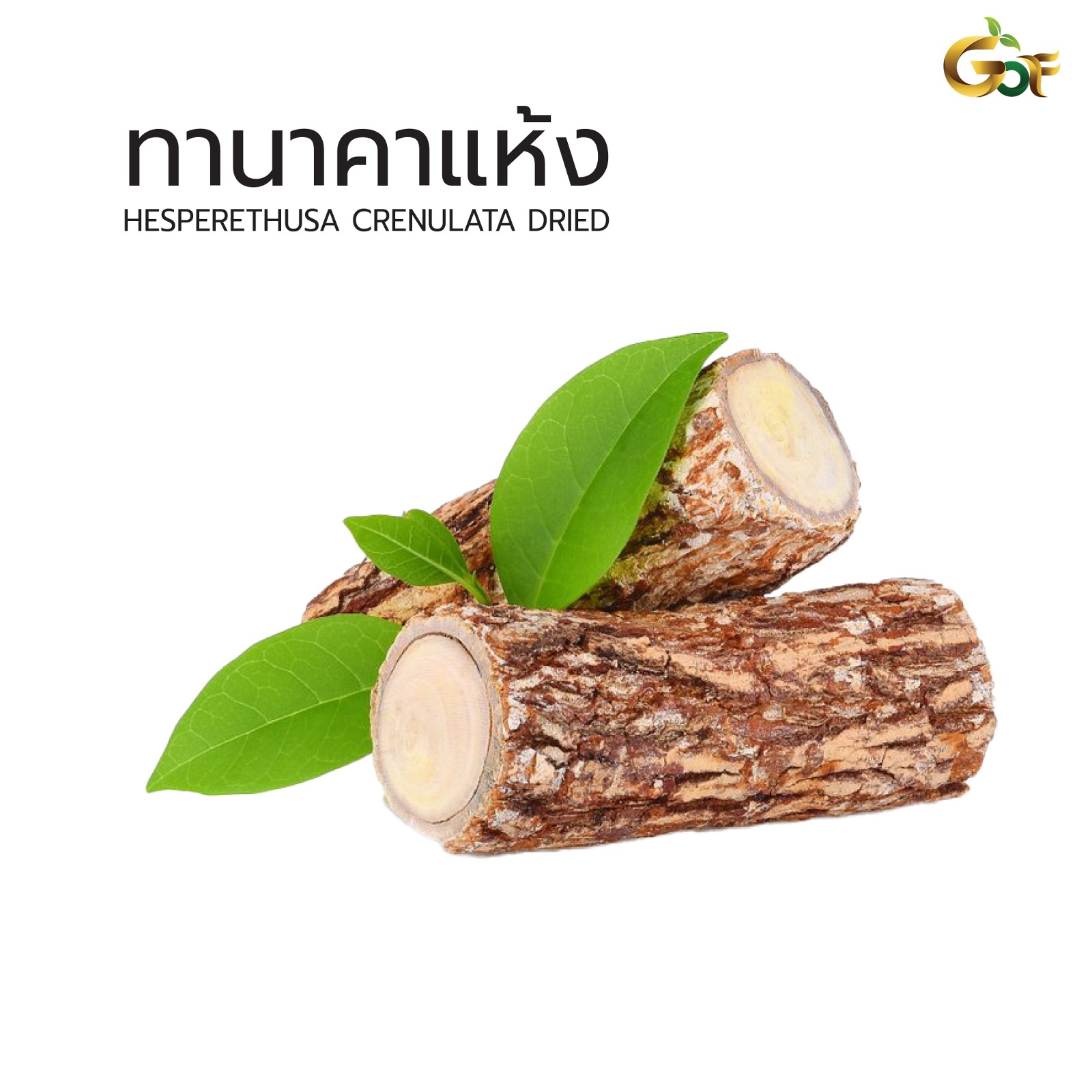 กอเงินฟาร์ม