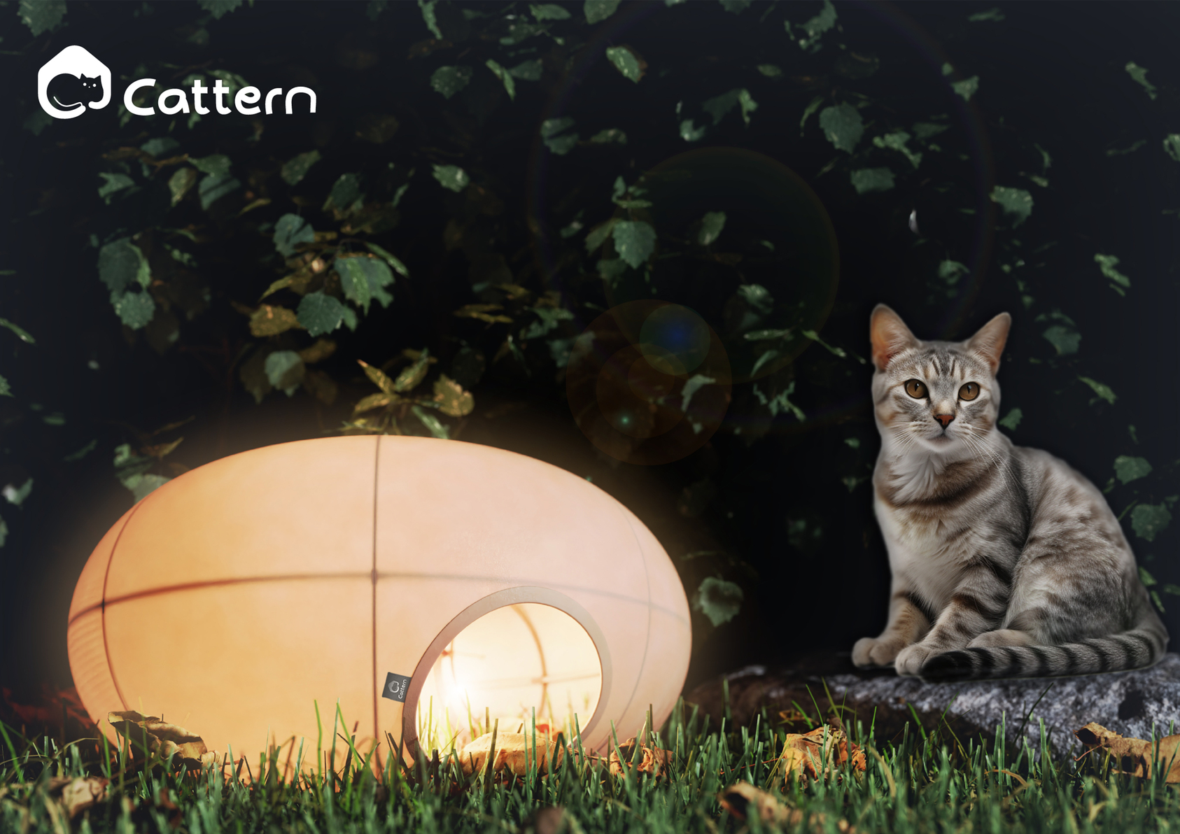 Cattern | 金點設計獎 Golden Pin Design Award