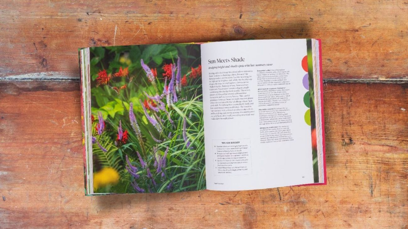 A Year of Colour: Your Permission to Garden Boldly - Ann-Marie Powell ...