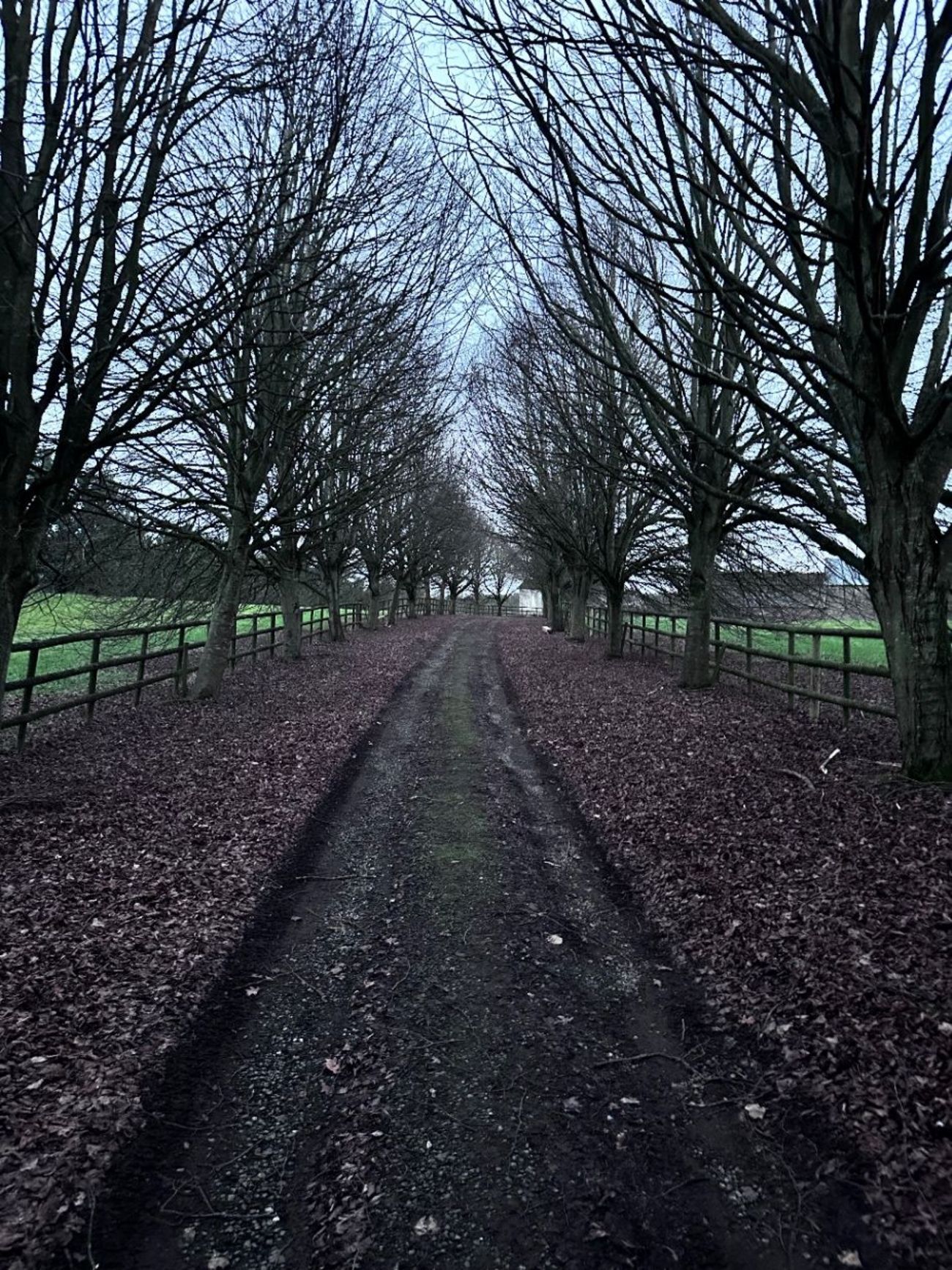Walking Through Nature: Father-Son Adventures - David Cartwright writes ...