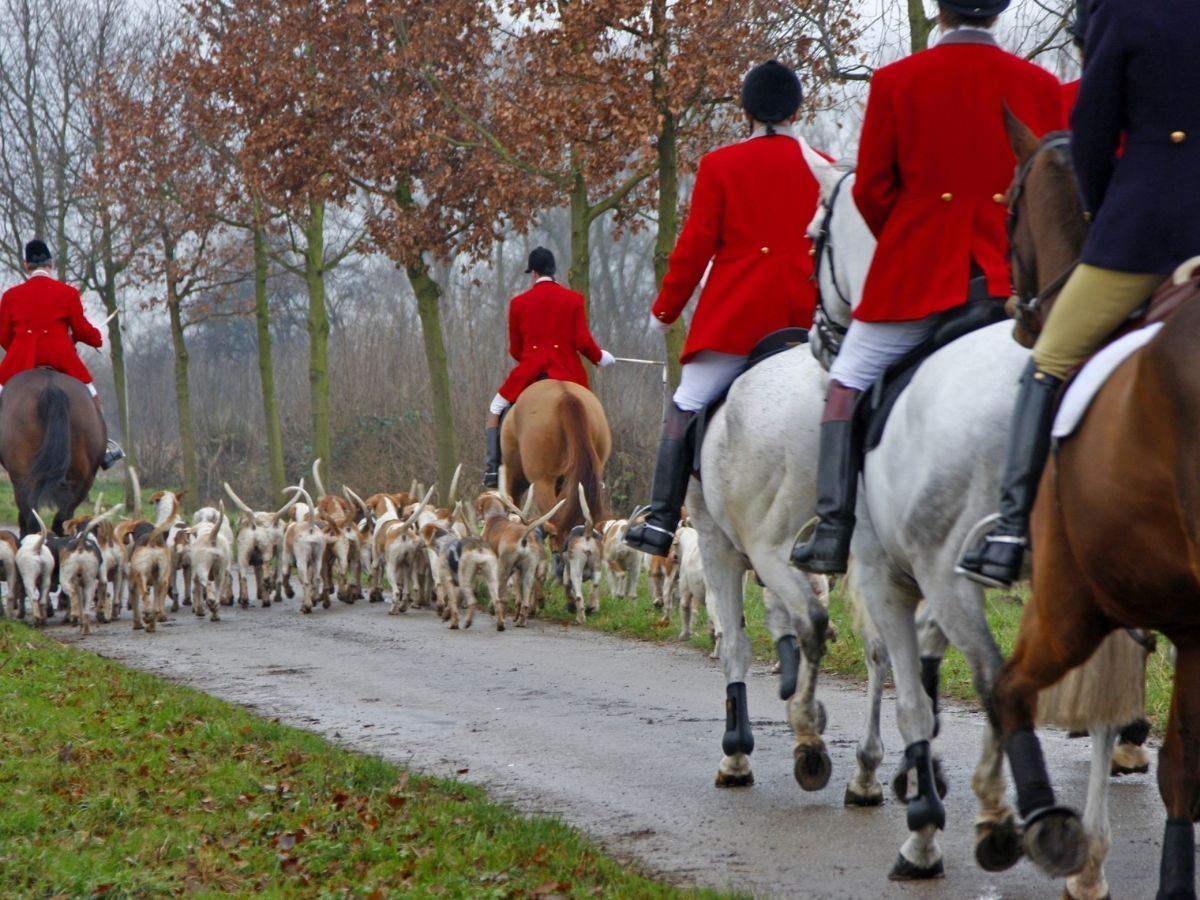 Lord Charles Moore: We ruralites must stick up for our countryside ...