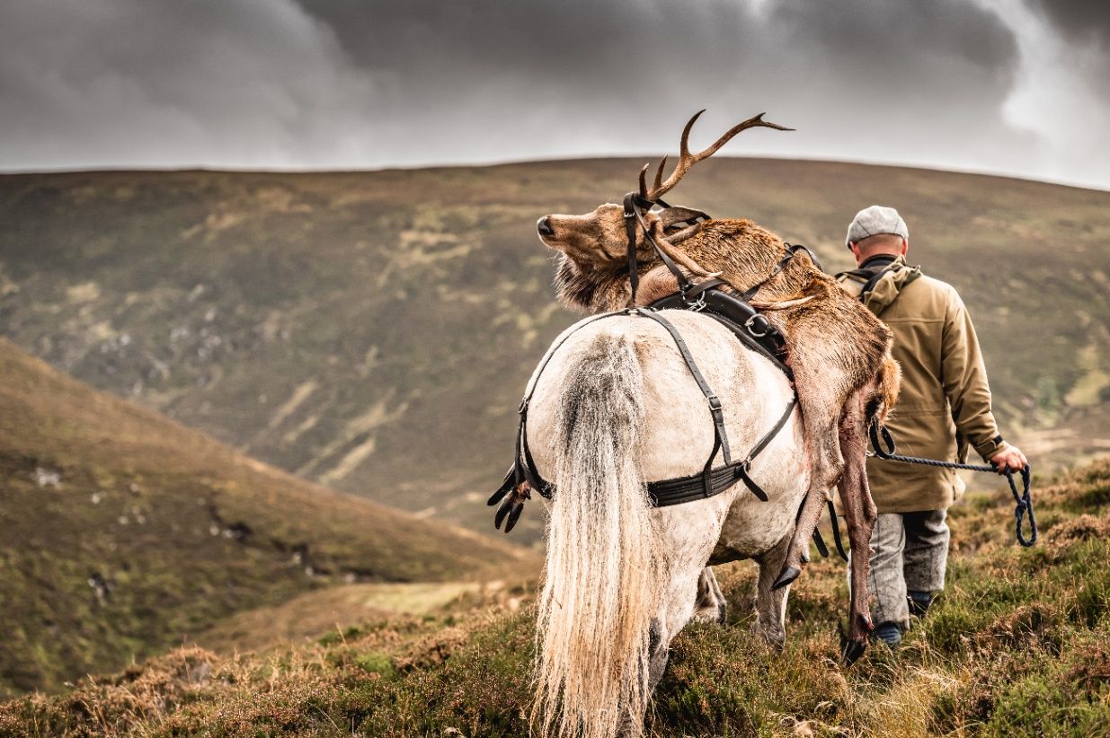 The Modern Macnab Challenge - Sarah Farnsworth writes on Scribehound