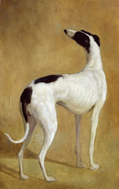 Riches from rags - Charles Blanning writes on Scribehound Countryside