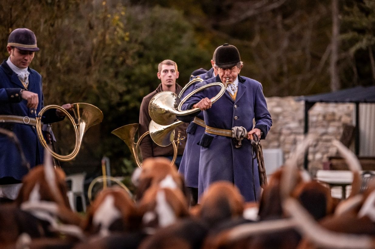 Getting the Horn - Hunting Stags and Wild Boar with Hounds in France ...
