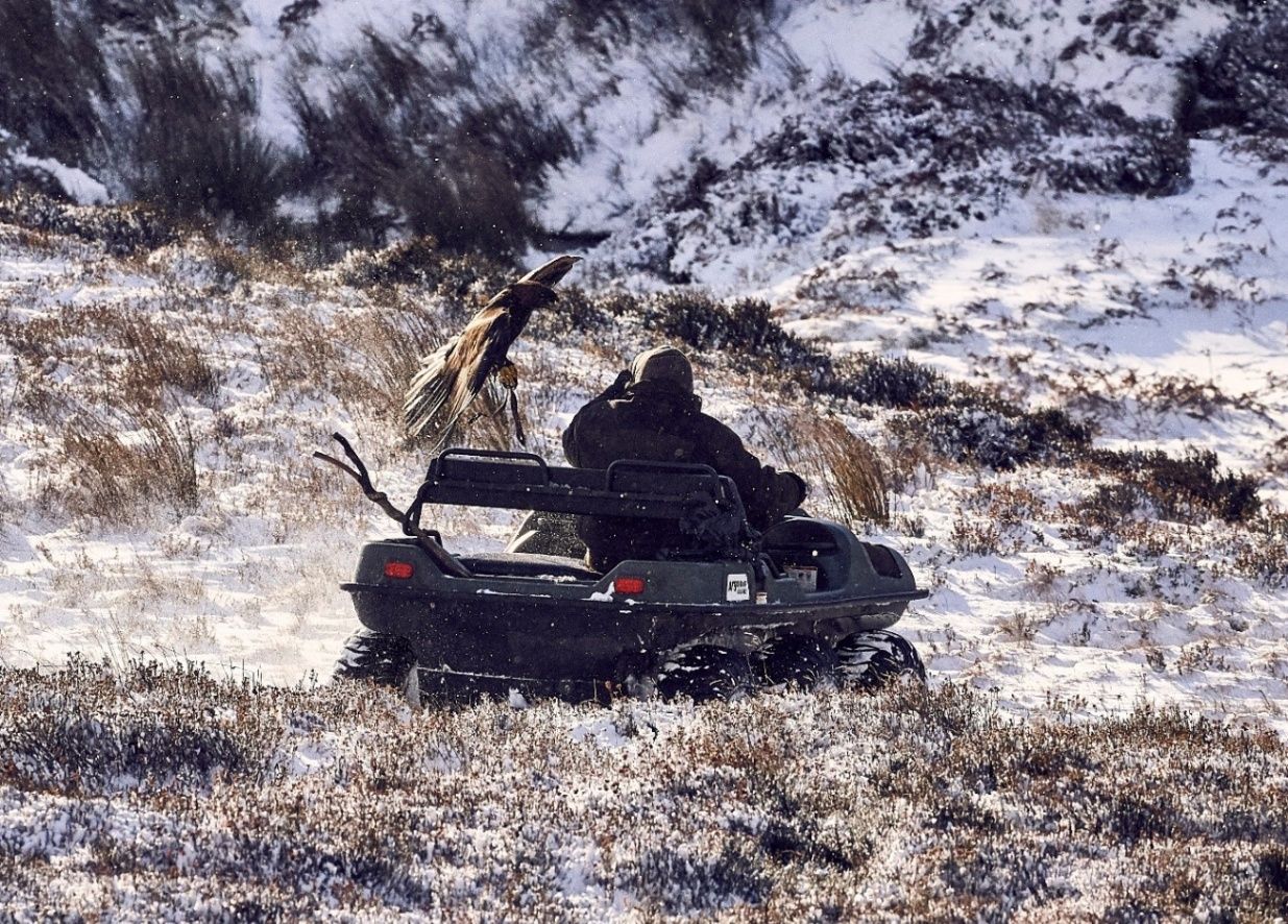 Hunting - intentional or reckless? - Dr Nick Fox OBE writes on ...