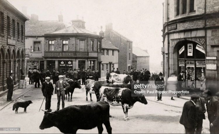 'This Brightly Visualised World': A Cultural Erasure of Rural Britain ...