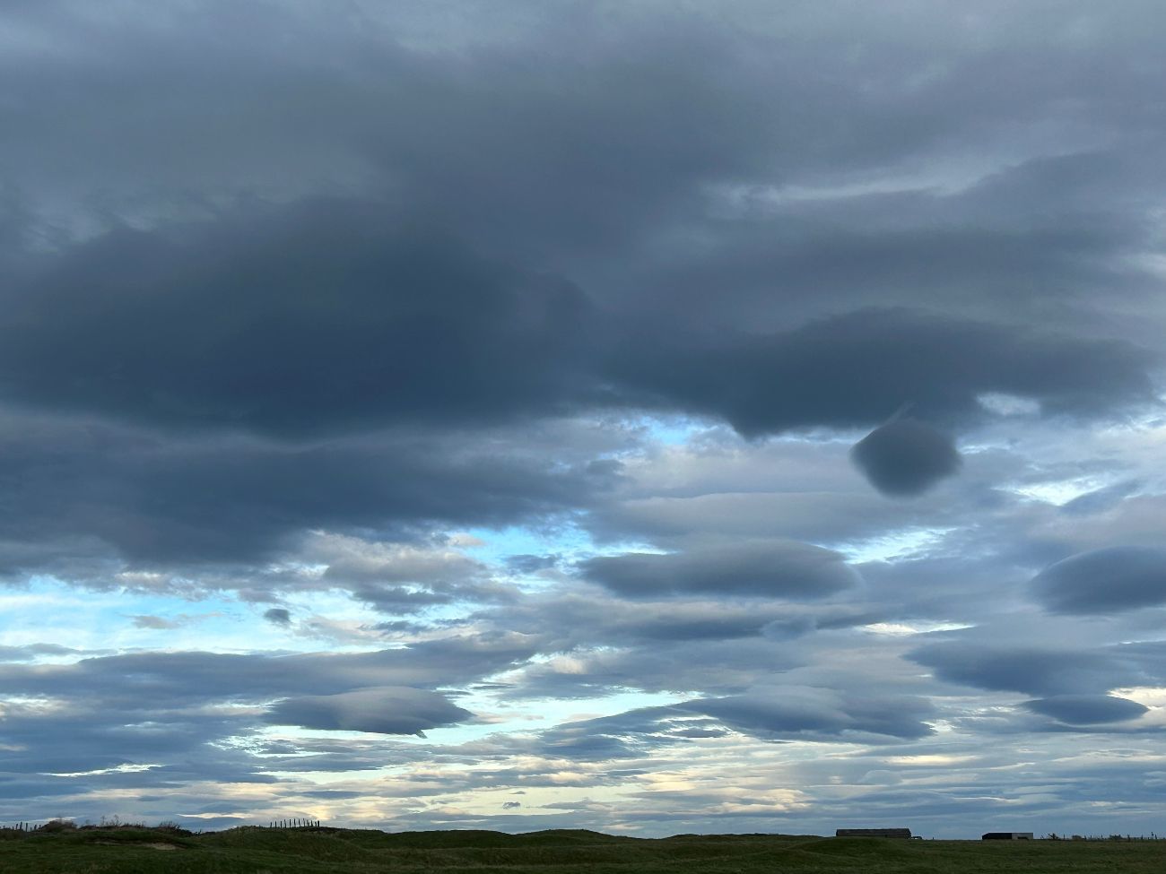 Majestic Tiree: Birds, Bonds, and Barbed Wire - Owen Williams writes on ...