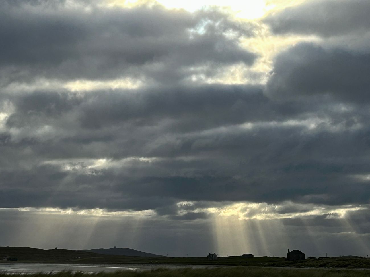 Majestic Tiree: Birds, Bonds, and Barbed Wire - Owen Williams writes on ...