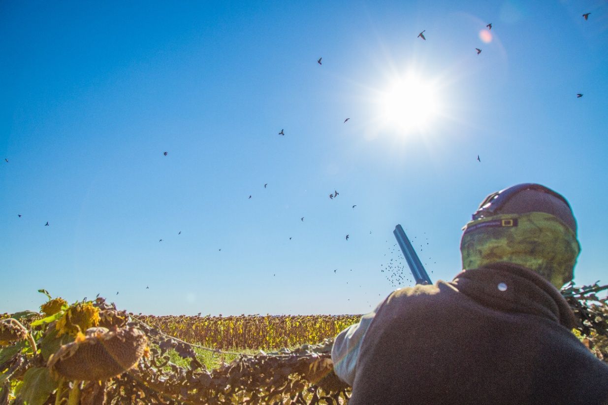 The ultimate sporting quarry - Marcus Janssen writes on Scribehound