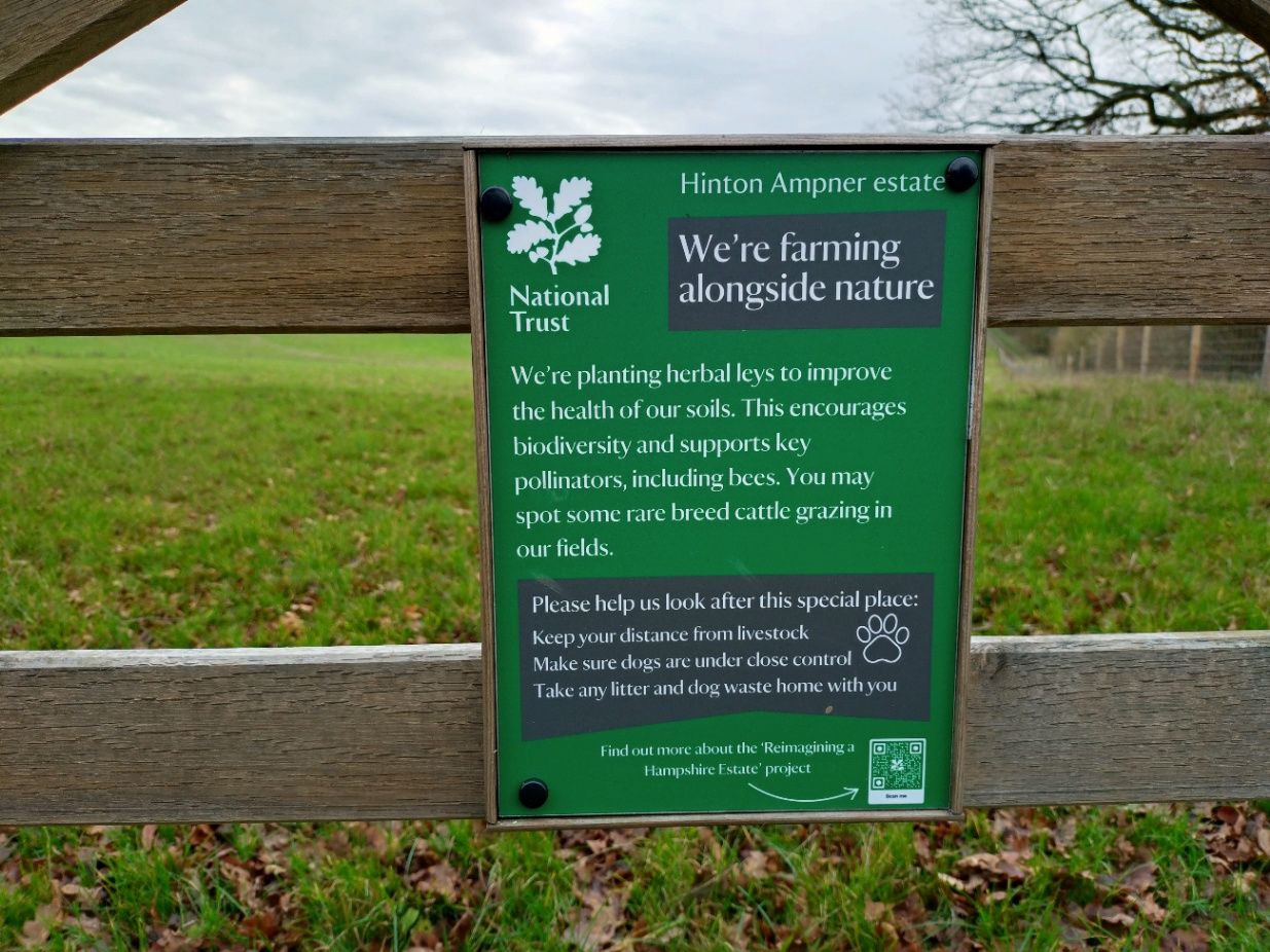 The noisy debate on the nature of 'nature' - Charlie Flindt writes on ...
