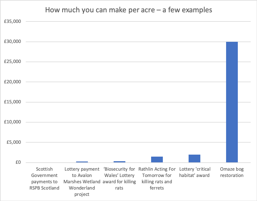 Be more RSPB: how your shoot can earn millions - Charlie Jacoby writes ...