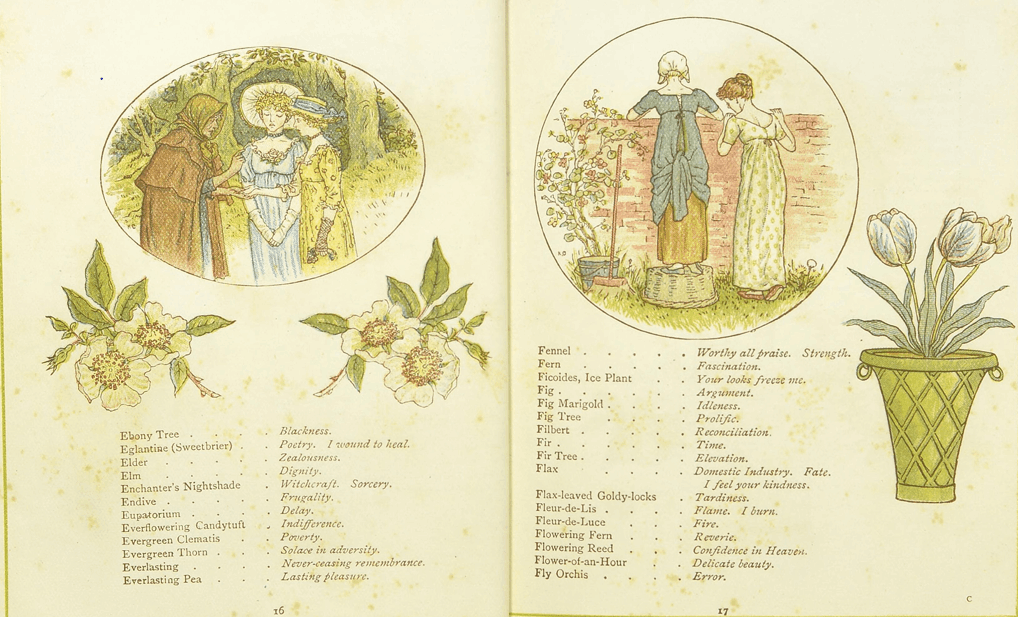 How the Victorians Flirted with Floriography ... not aubergine emojis ...