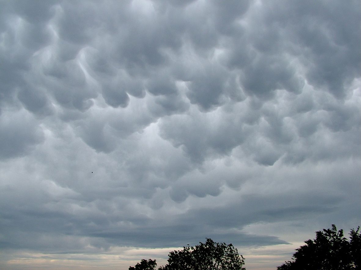 The cloud that nearly ate me - Owen Williams writes on Scribehound ...