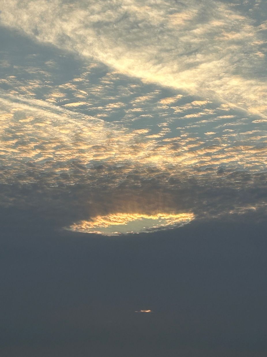 The cloud that nearly ate me - Owen Williams writes on Scribehound ...