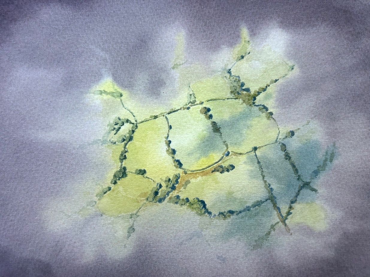 The cloud that nearly ate me - Owen Williams writes on Scribehound ...