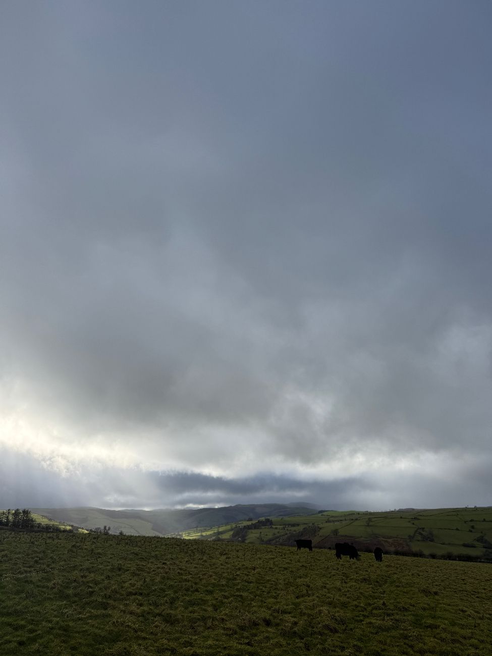 Dating life in the countryside - Claire Whittle writes on Scribehound ...