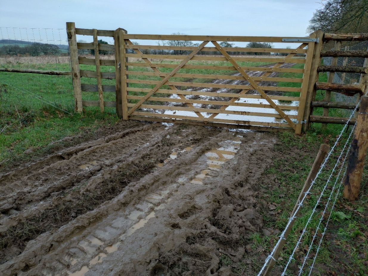 Tales of new sturdy country fences - and those inconvenienced by them ...