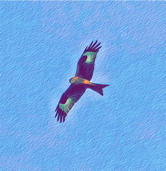 Red Kites, Red Deer and Recuperation - Ian Barnett writes on ...