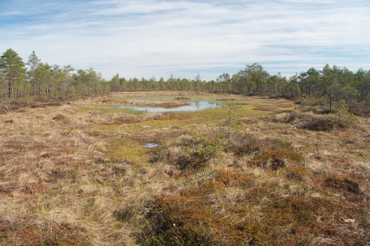 Navigating Complexity: Upland Rewilding Realities - Owen Williams ...