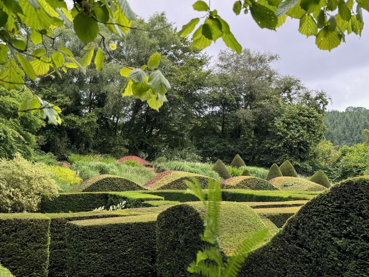 ‘What’s The Point of Shrubs?’ - Jinny Blom writes on The Garden Collective