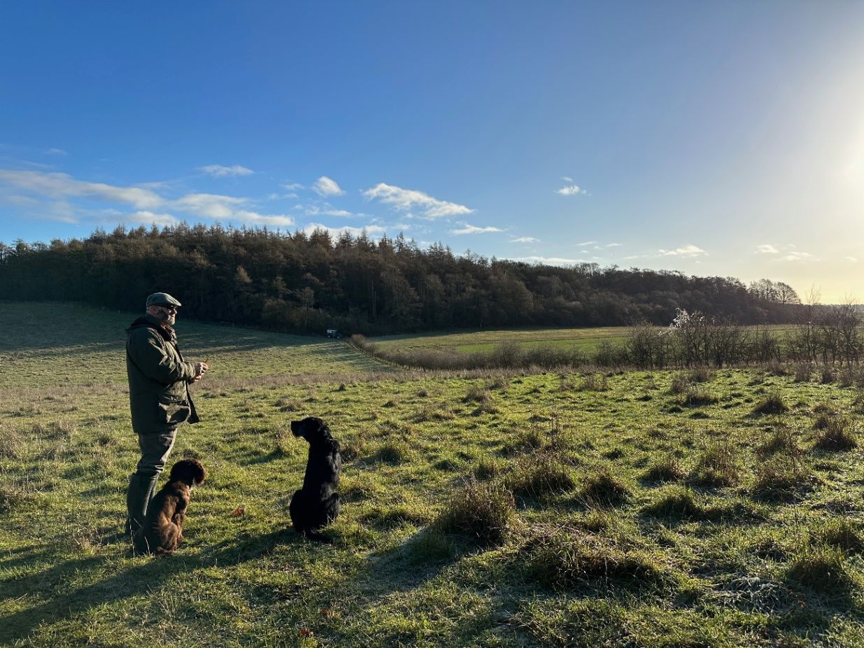 Legacy Lost: Demise of The Benham Estate Shoot - Andy Ford writes on ...