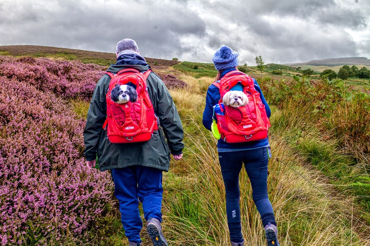 The new proposed Right to Roam Act - good or bad? - Len Smith writes on ...