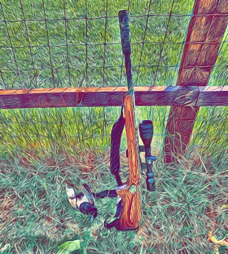 Bruce Lee and the Rifle Shooter - Ian Barnett writes on Scribehound