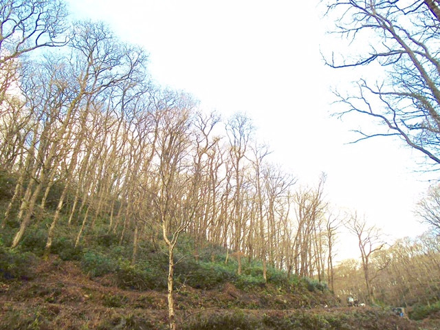 Colquite Estate , Cornwall - Availability on GunsOnPegs