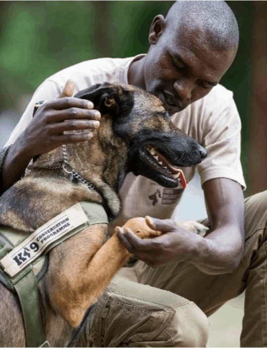 The Heroic Anti-Poaching Dogs Fuelled by UK Working Dog Food Brand ...