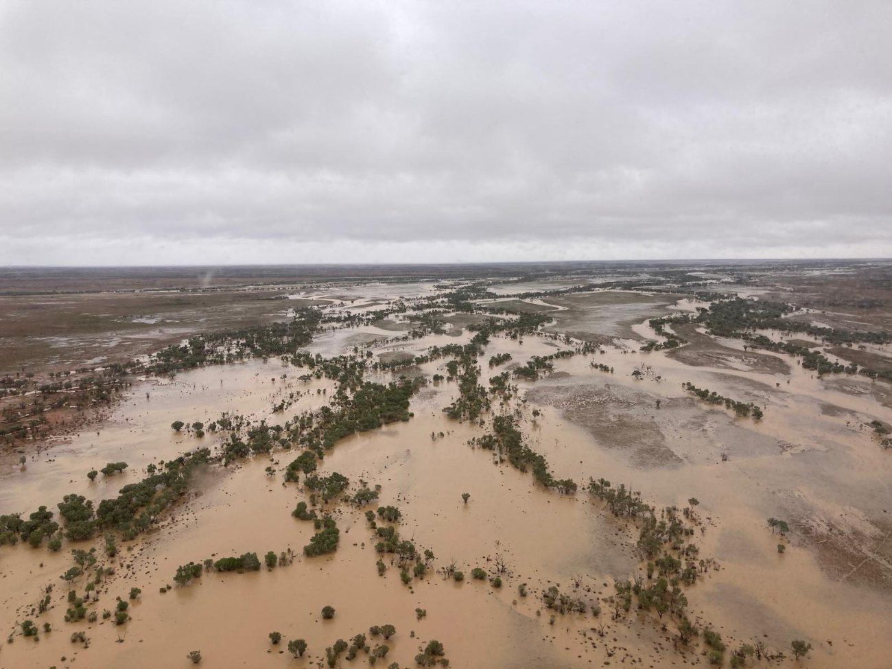 Rural resilience rises after outback floods devastate Australia ...