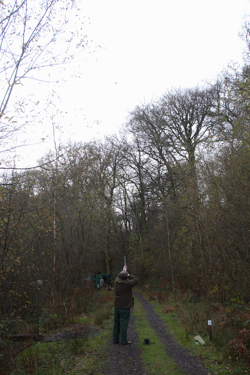 Combe Estate, Devon - Availability on GunsOnPegs