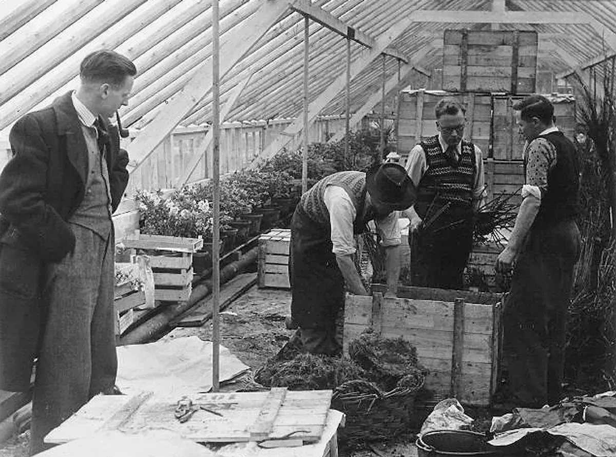 Percy Thrower: The Legacies of Britain's Head Gardener - Advolly ...