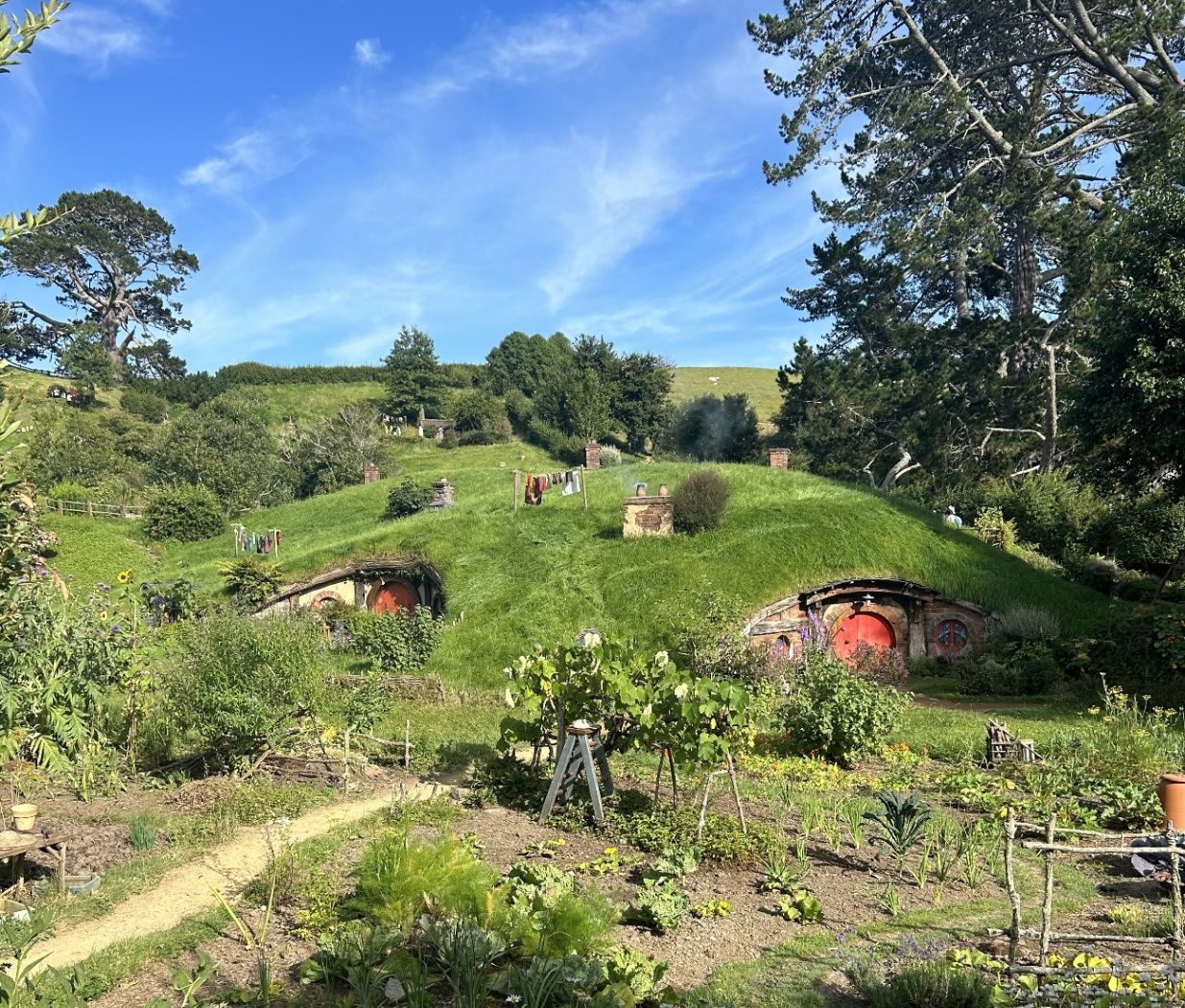 Agritourism - the greatest gift to farming or a sign of failure ...