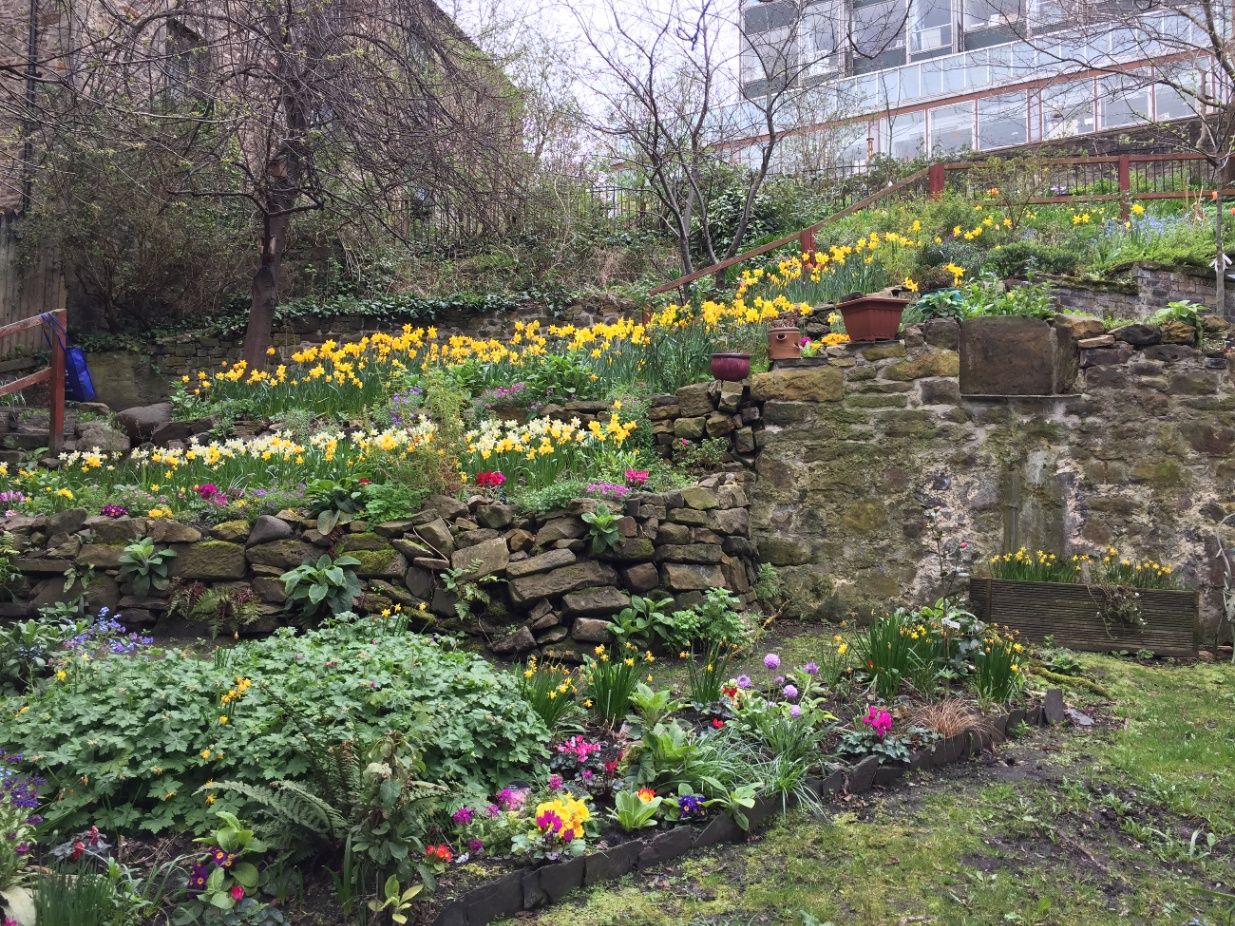 The Power of Beauty - Sue Stuart-Smith writes on The Garden Collective
