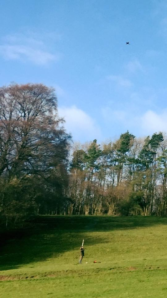 Buildwas Park Shoot , Shropshire - Availability on GunsOnPegs