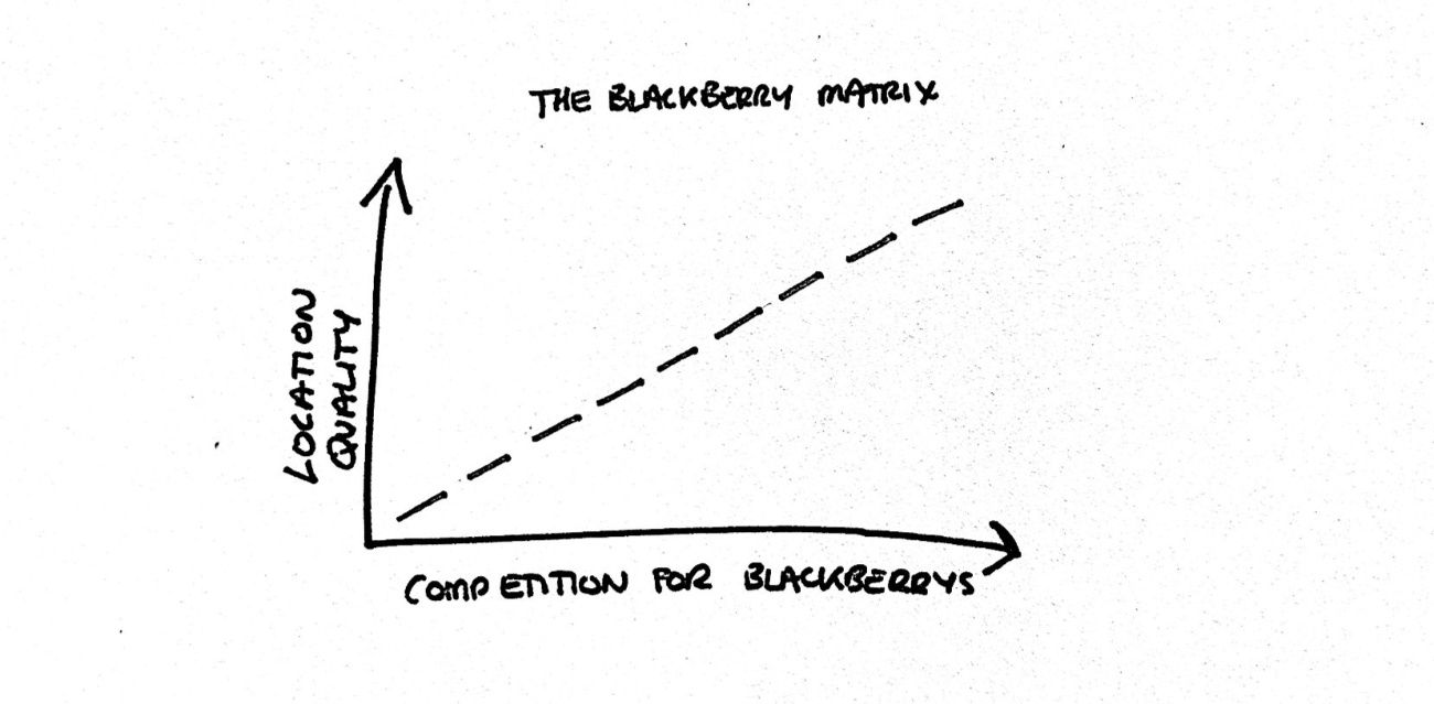 Cracking the Blackberry Code - Jonathan Carter writes on Scribehound
