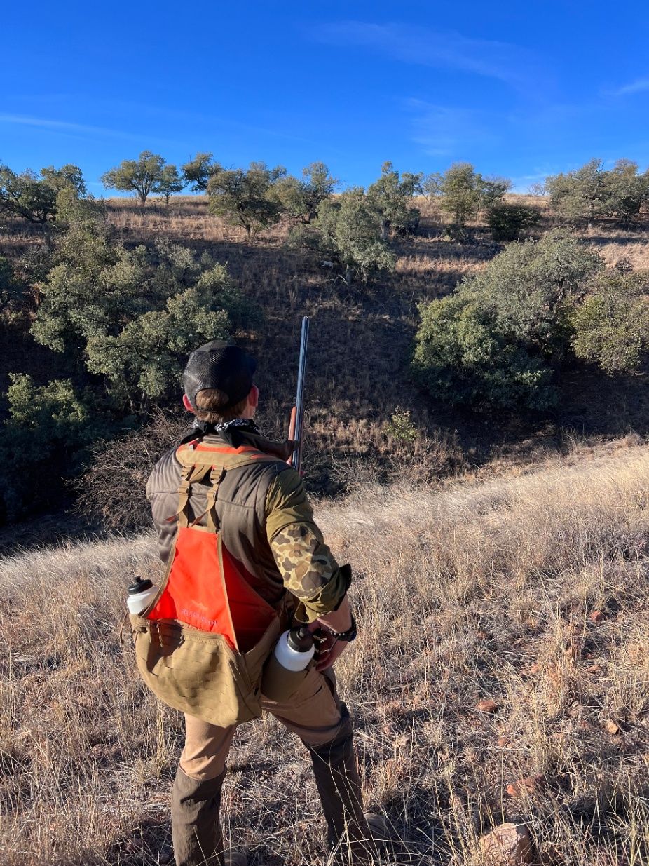 Into the Wild: Quail Hunts, Verdant Valleys, and Hidden Graves - Simon ...