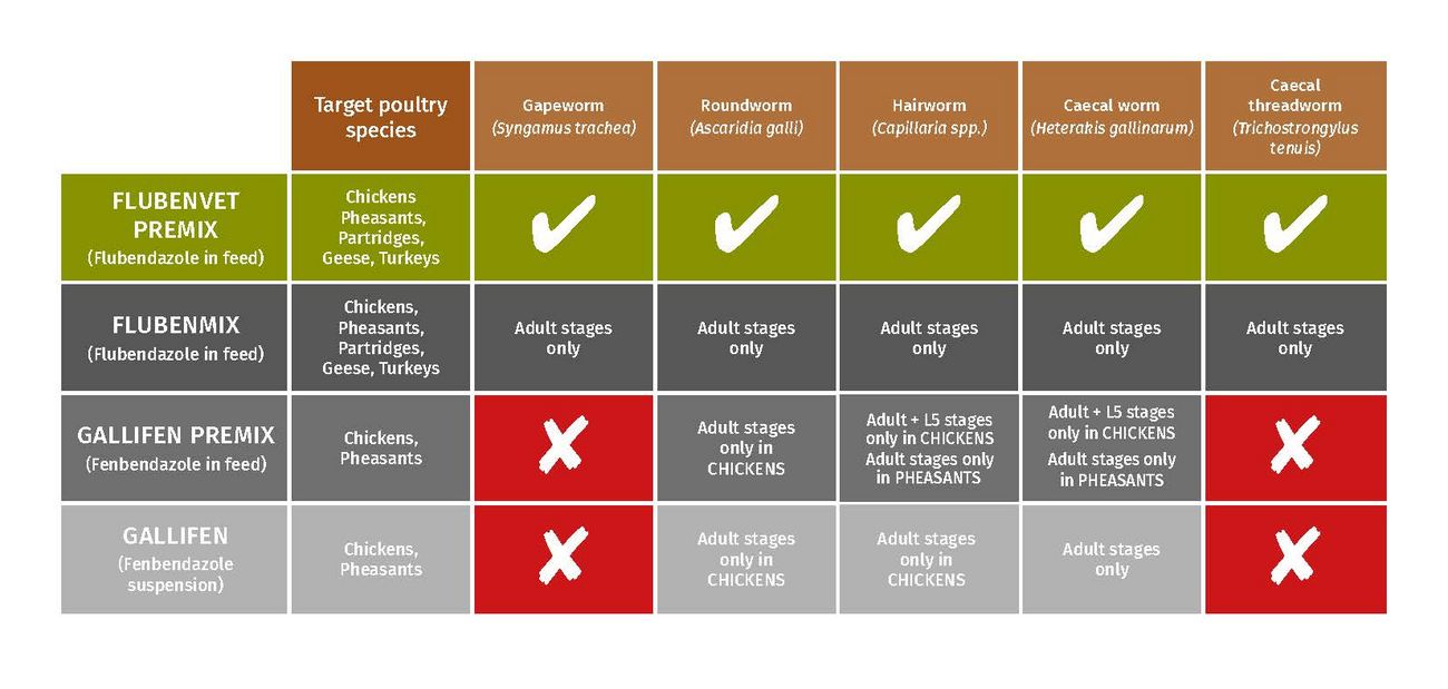 The importance of worm control to optimise performance - ShootHub by ...