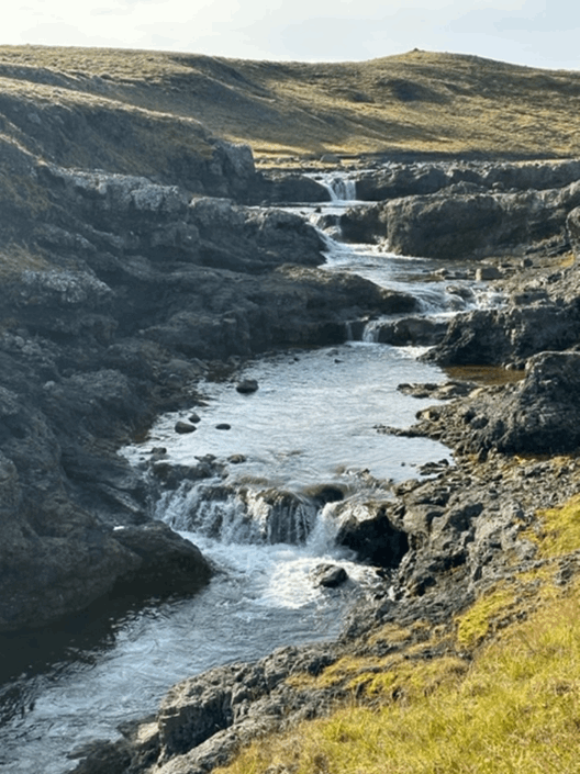 How do salmon survive in small spate rivers? - John Miller writes on ...