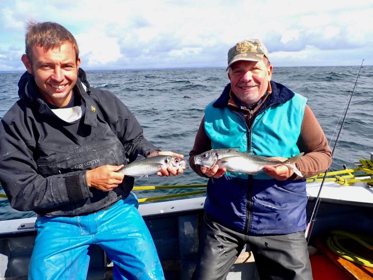 A Smorgasbord of Cornish Fish - Wayne Thomas writes on Scribehound