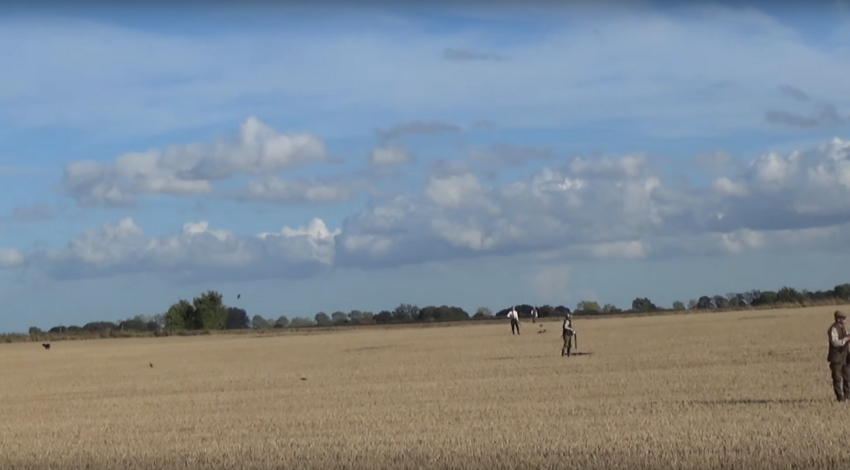 Burlingham Estate Shoot , Norfolk - Availability on GunsOnPegs