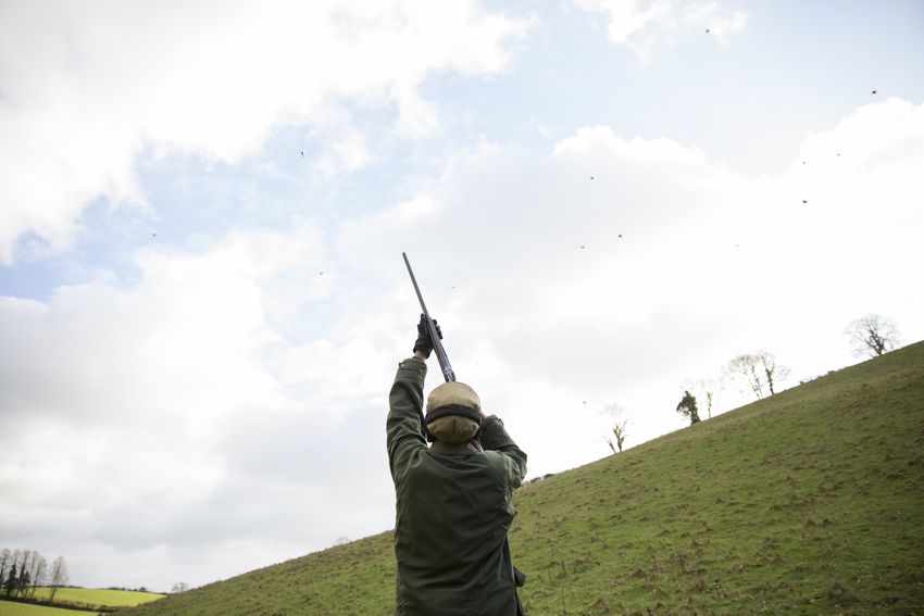 Morval Shoot, Cornwall - Availability on GunsOnPegs