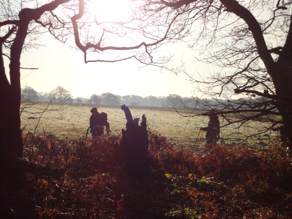 Bickerstaffe shoot, Lancashire - Availability on GunsOnPegs