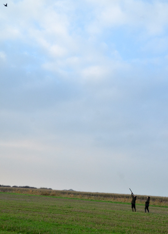 Altcar Estate, Lancashire - Availability on GunsOnPegs