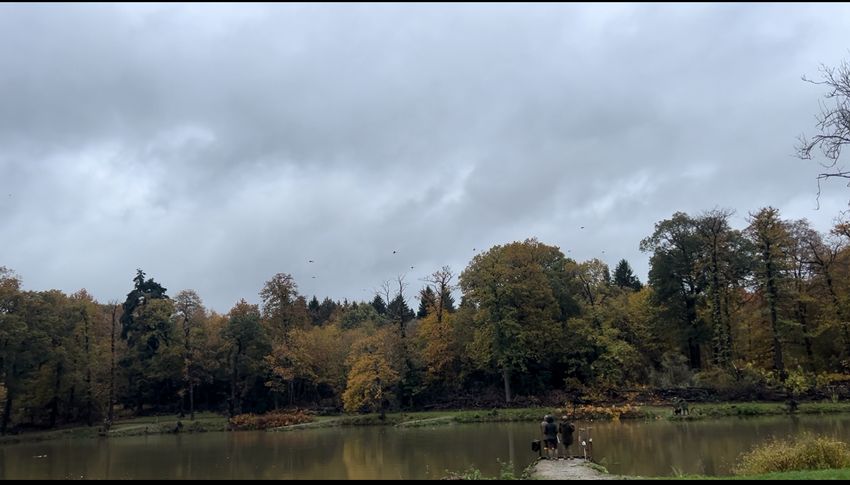 Ryde Farm Estate, Surrey - Availability on GunsOnPegs