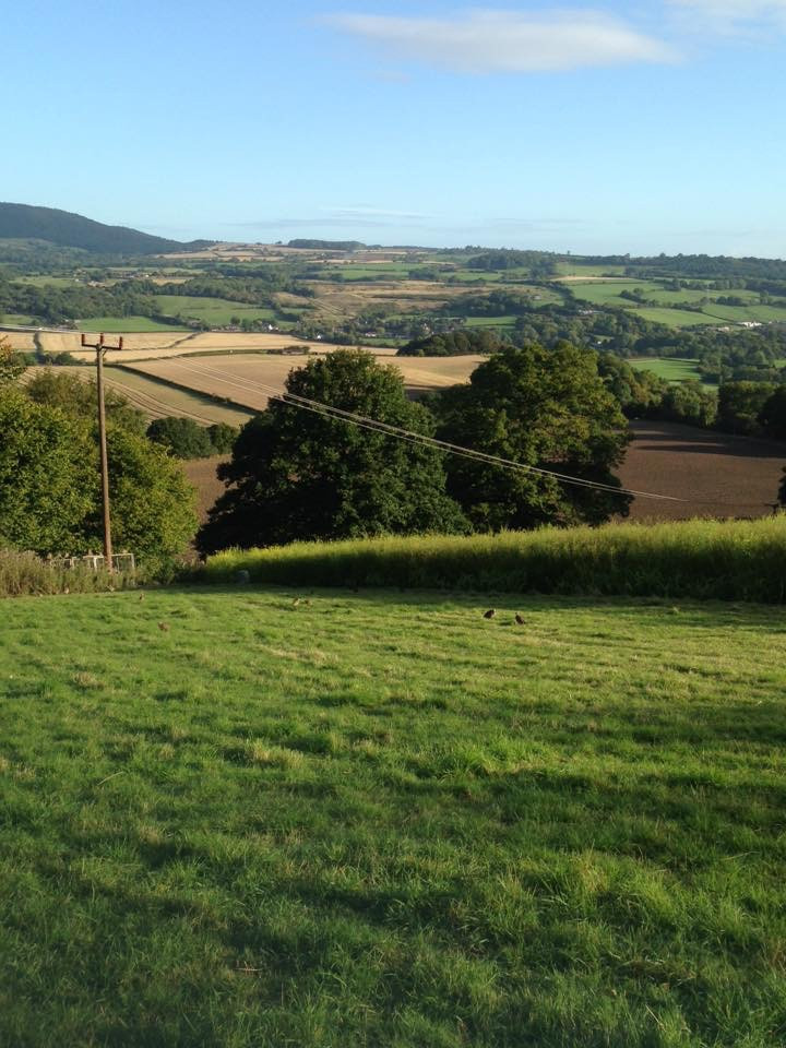 Buildwas Park Shoot , Shropshire - Availability on GunsOnPegs