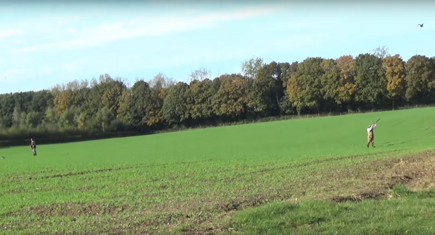 Burlingham Estate Shoot , Norfolk - Availability on GunsOnPegs