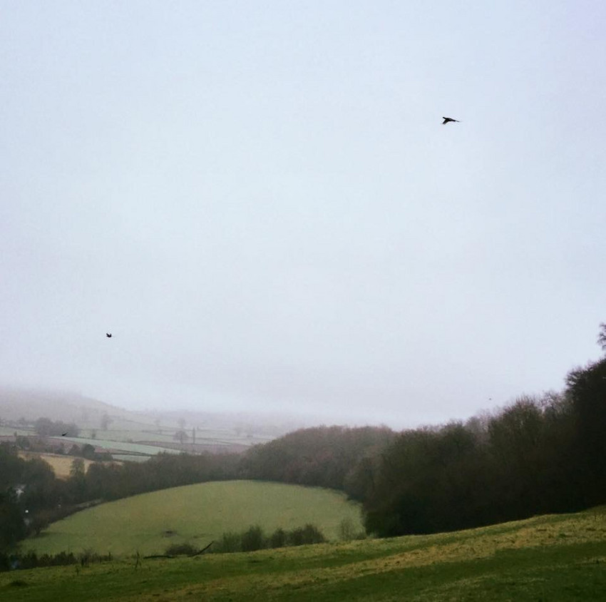 Buildwas Park Shoot , Shropshire - Availability on GunsOnPegs