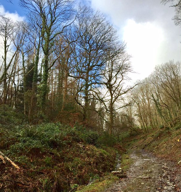 Colquite Estate , Cornwall - Availability on GunsOnPegs